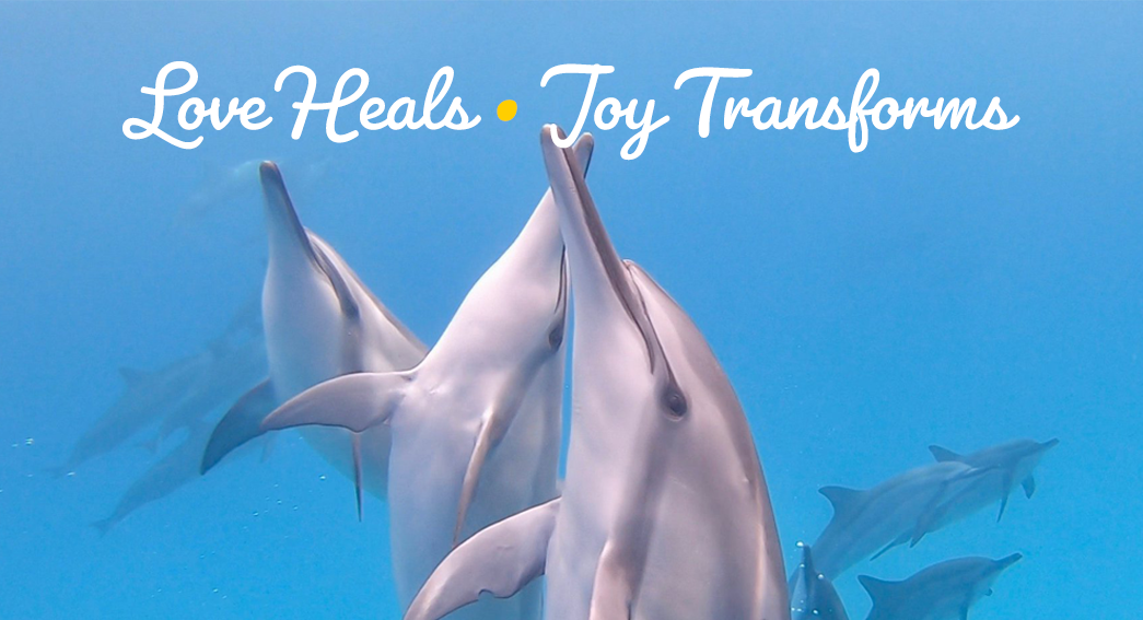 Journeys of Discovery Sessions - Dolphin Heart World